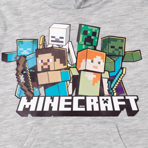 Minecraft Mobs Alex Steve Little Boys Fleece Pullover Hoodie Light Gray 6