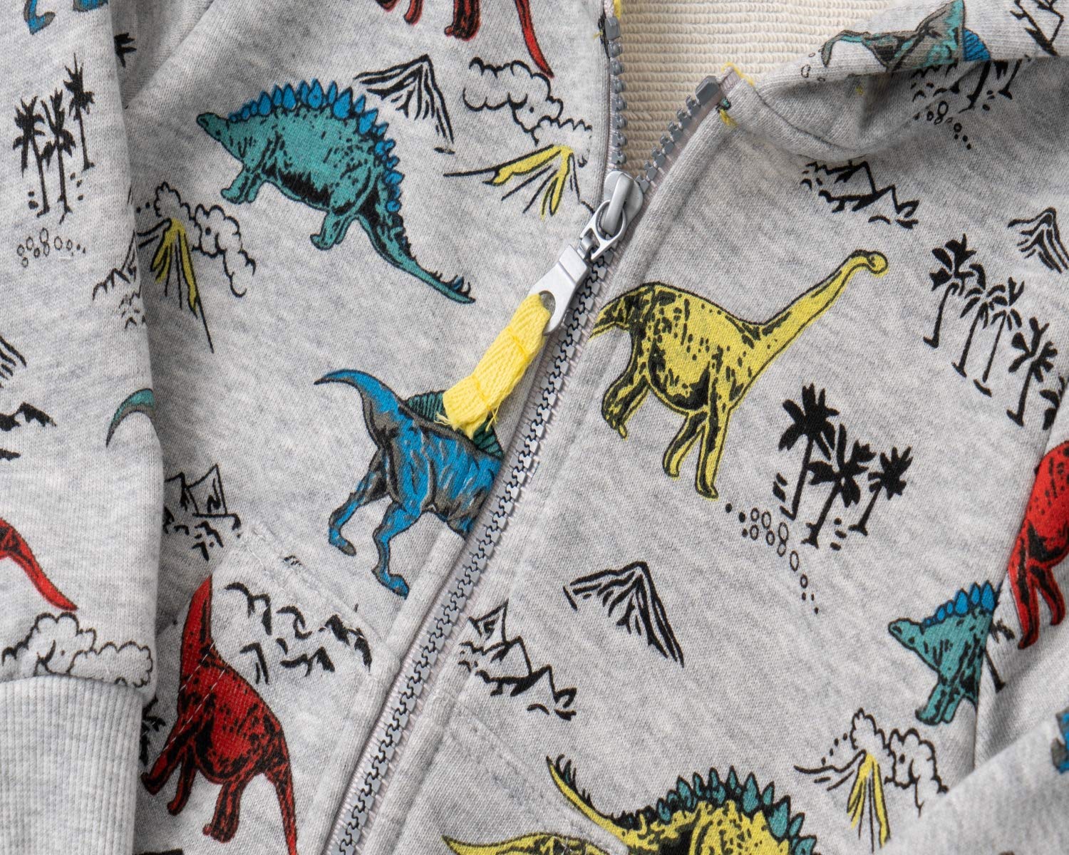 LeeXiang Toddler Boys Full Zip Dinosaur Hoodies Comfortable Sweatshirt (Dinosaur, 4-5T)
