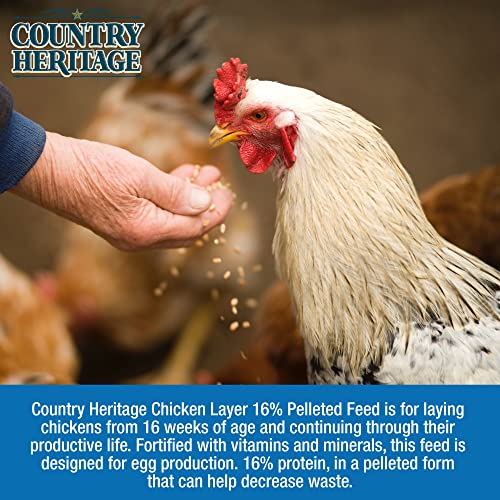 CountryMax Hen Egg Layer Pellet 16% Chicken Feed 50 Pounds