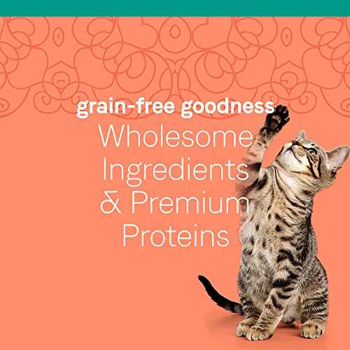 Canidae Adore Premium Wet Cat Food, Morsels with Salmon and Whitefish in Broth, 2.46 Ounce (Pack of 24), Grain Free