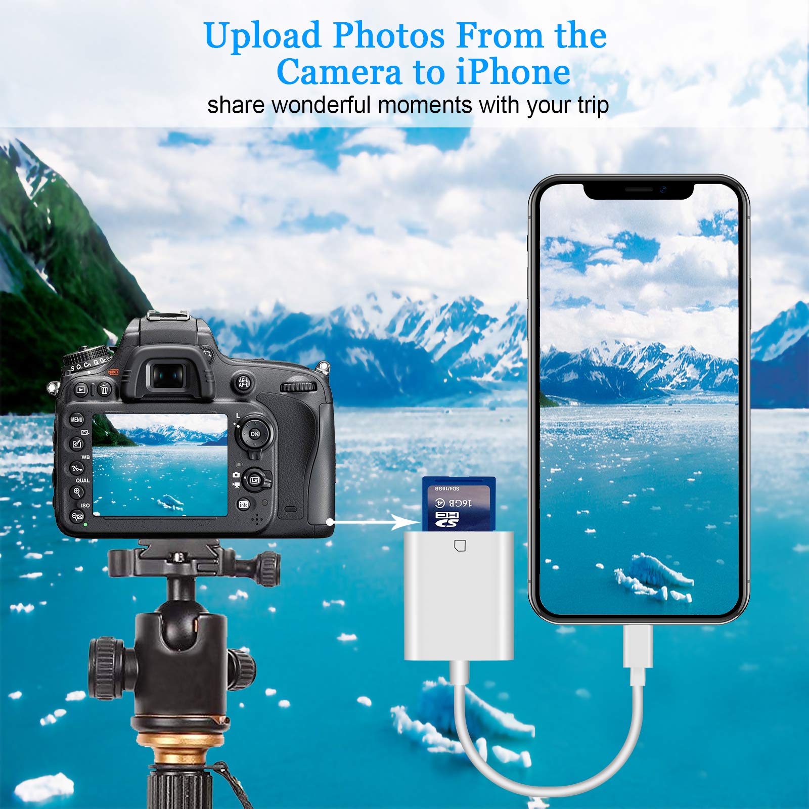 Lightning to SD Card Camera Reader Digital Camera SD Card Reader for Select iPhone, iPad and iPod Models (Support iOS 13 and Before), Trail Game Camera Viewer, No App Required (White)