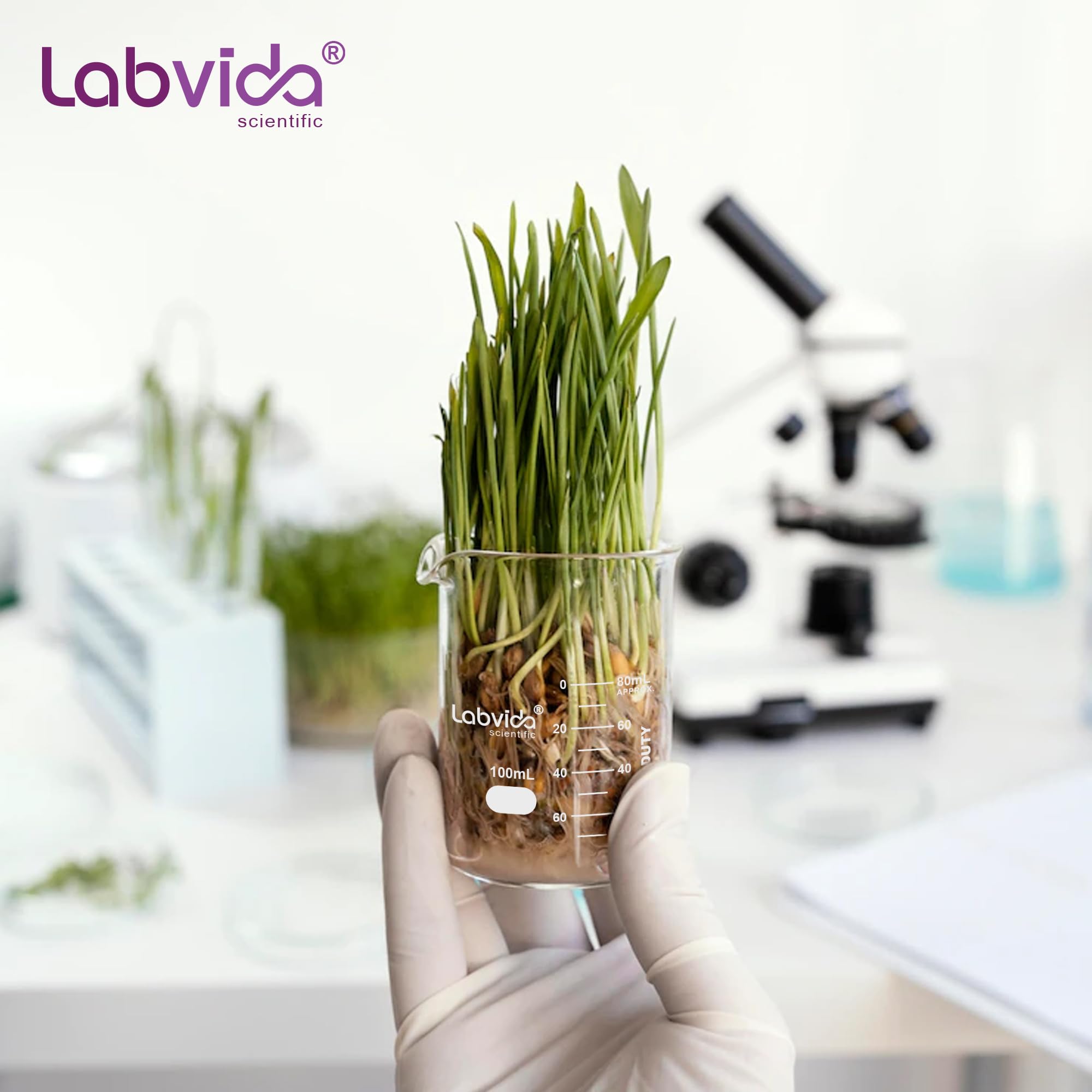 Labvida 6pcs 300ml Upgrated Thick Glass Beakers, Griffin Low Form Beaker Set with Double Scale, 3.3 Boro,LVA021