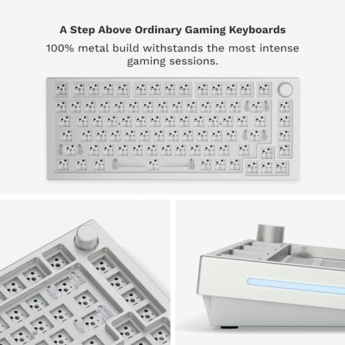Glorious Modular Mechanical Gaming Keyboard Barebones/Pre Built/Black and White (Barebones (White))
