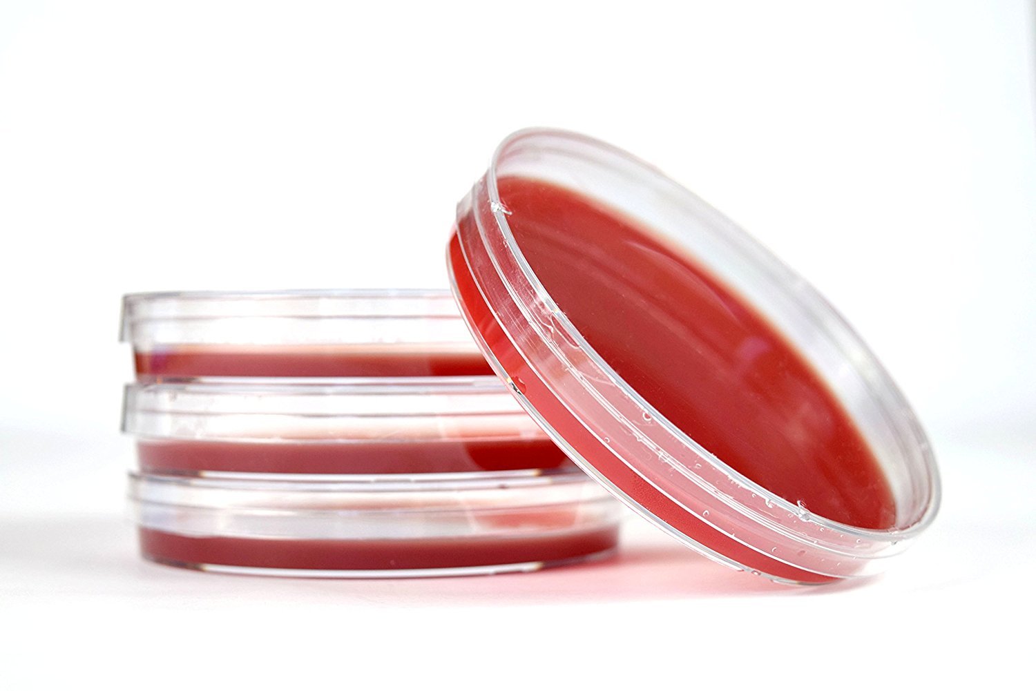 Red Blood Agar (RBA), TSA with 5% Sheep Blood (10-Pack). Pre-Poured, 15x100mm Plates. Used to Detect Hemolysis.
