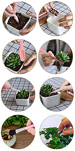 22 Pieces Succulent Planting Tools Kit, Mini Gardening Hand Tools Set - Potting,Cactus, Bonsai, Transplanting Tools + PU Nylon Gloves Coated Palm Anti-Static + Gardening Mat (Pink)_AB