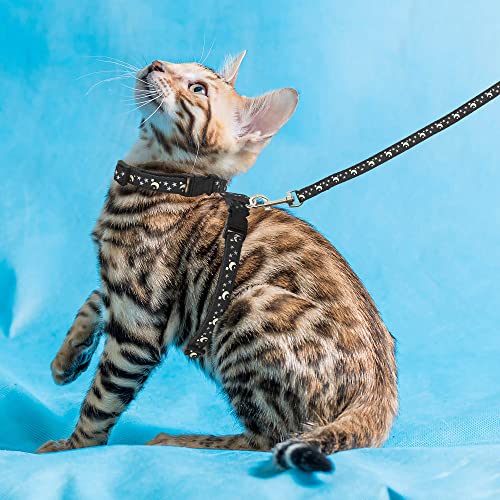 Cat Harness with Leash, 3-Pack, Unique Stars Moon and Paw Heart Design, Escape Proof, Walking, Small Medium Large, Black, Red, Blue, Adjustable, Safe, Set of 3