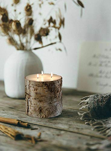 Serene Spaces Living Birch Bark Candle β Pillar Style Candle Brings Nature Indoors, Ideal for Weddings, Parties, Events, Restaurants, Home Decor, 6" in Diameter & 6" Tall