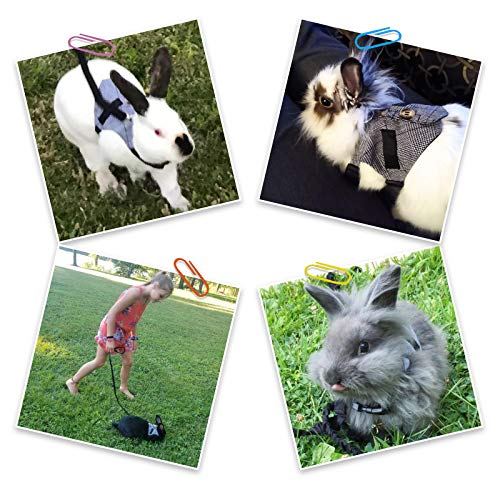 Cute Rabbit Harness and Leash for Walking,No Pull Adjustable Formal Suit Style Plaid Stripe Harness for Rabbit Kitten Chinchilla, Squirrel, Marten & Mink Small Animal(2 Pcs) (M)