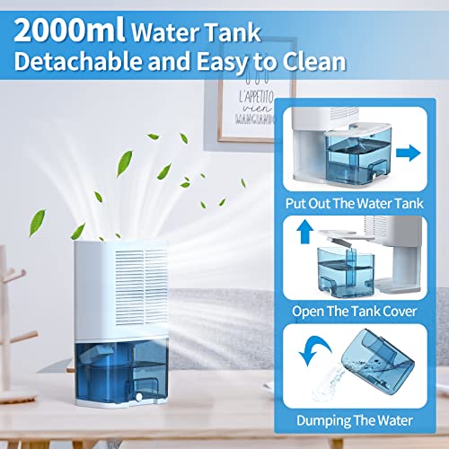68oz 7900 Cubic Feet(810 Sq.ft)Dehumidifiers for Home Bathroom Room Basements,Quiet Dehumidifier With Drain Hose & Auto Shut Off, Portable Small Dehumidifiers for Bedroom Closet RV
