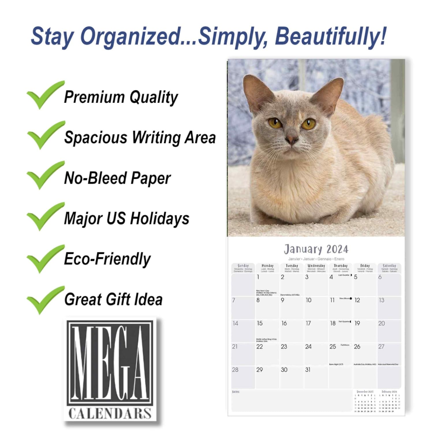 2023 2024 Burmese Cats Calendar - Cute Animal Monthly Wall Calendar - 12 x 24 Open - Thick No-Bleed Paper - Giftable - Academic Teacher's Planner Calendar Organizing & Planning