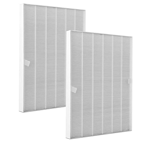 Colorfullife 2 Pack True HEPA 115115 Size 21 Filter A for Winix PlasmaWave 5300-2, C535, P300, 6300-2, 5300, 9000 Air Purifier