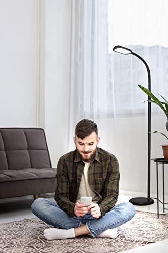 Brightech Battery Plus Lamp for Living Rooms & Offices, Rechargeable LED Floor Lamp, Portable Tall Lamp, Mid-Century Modern Standing Lamp for Bedroom, Great Living Room Décor