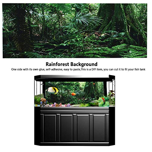 SH-RuiDu Aquarium Background, Durable PVC Reptile Box Rainforest Background Poster Fish Tank Wall Picture Painting Decoration Self Adhesive Sticker for Fish Tank Reptile Box Decorations