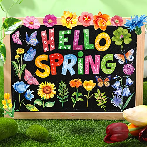 72 Pcs Cute Cutouts Hello Spring Cut Outs with 96 Pcs Glue Points Spring Bulletin Board Set Floral Plants Spring Cutouts Spring Decorations for Classroom School Game Party Bulletin Board Supplies