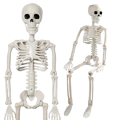 2 Pack Halloween Hanging Decorations, 26" Size Skeleton with Movable Joints, Indoor and Outdoor Party Decor for Haunted House Yard Patio Lawn Garden