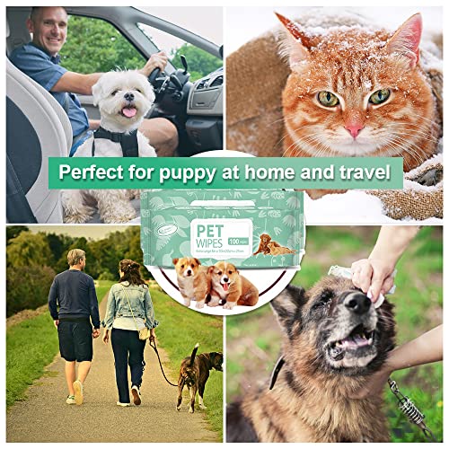 Air Jungles Pet Grooming Wipes for Dogs and Cats 100 Count, 8" x 10" Extra Large Plant-Based Earth-Friendly Hypoallergenic Deodorizing Pet Wipes for Paws Body Face Ear Butt