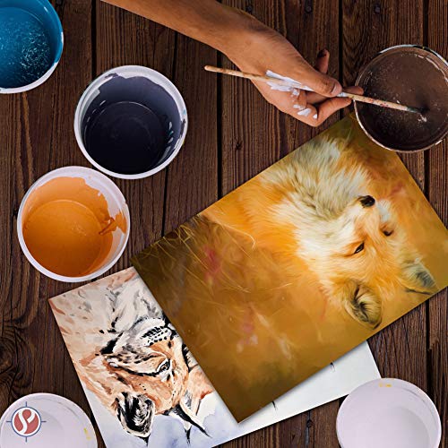A4 Premium Bright White Paper β Great for Copy, Printing, Writing | 210 x 297 mm (8.27" x 11.69") | 24lb Bond / 60lb Text (90gsm) | 250 Sheets per Pack