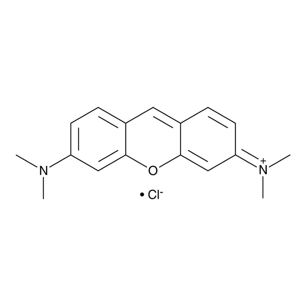 Cayman Chemical 14488-1 Pyronin Y, 1g