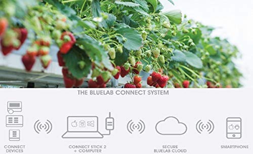 Bluelab CONSTICK2 Connect Stick 2 for Bluelab Connect Devices (Monitor and Controller), Wireless Data Logging Kit for Hydroponic System and Indoor Plant Grow