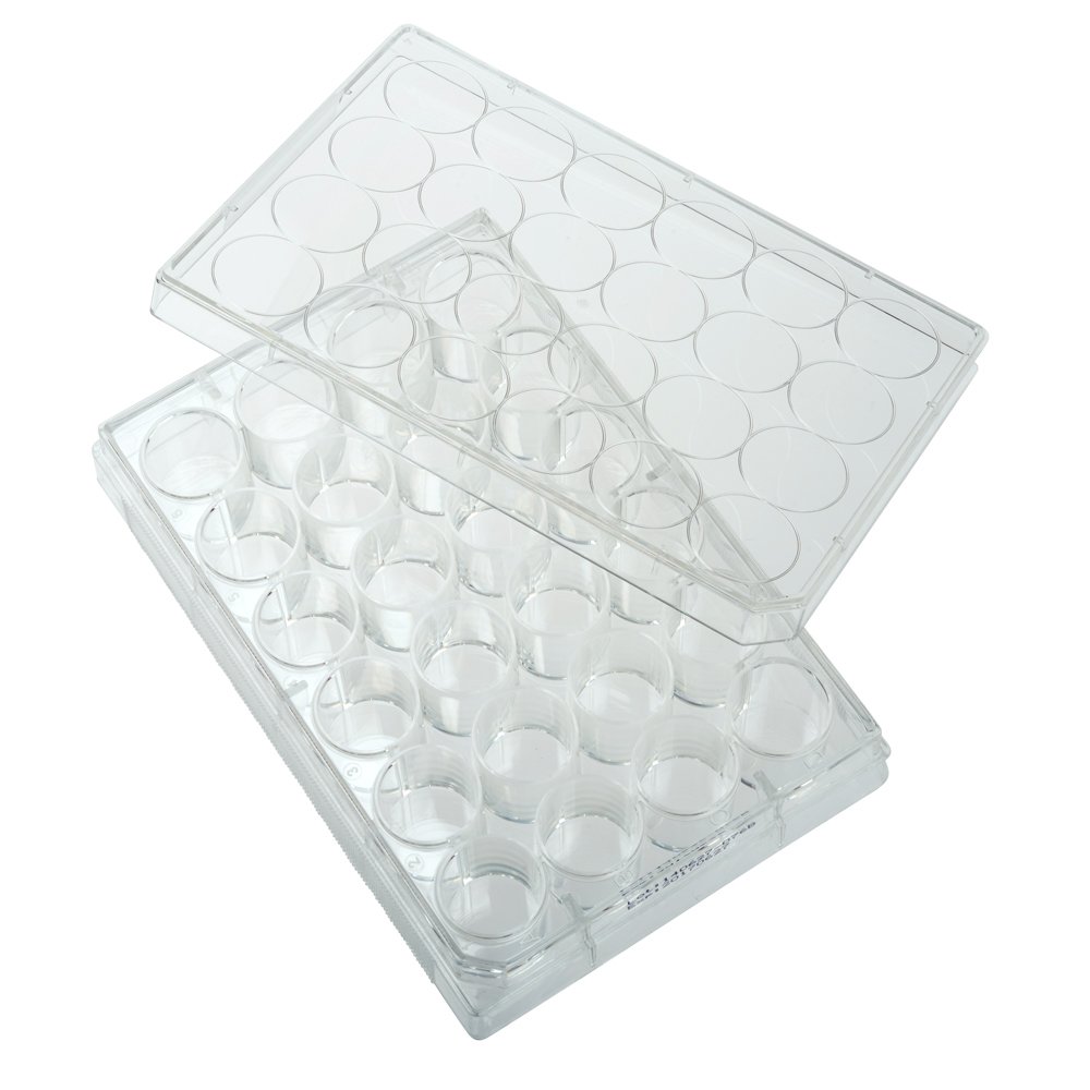 Celltreat 229123 24 Clear Polystyrene Well Tissue Culture Plate with Lid, Sterile, 1.93 cm2 Cell Growth Area, Flat Bottom, Individual Pack (Pack of 50)