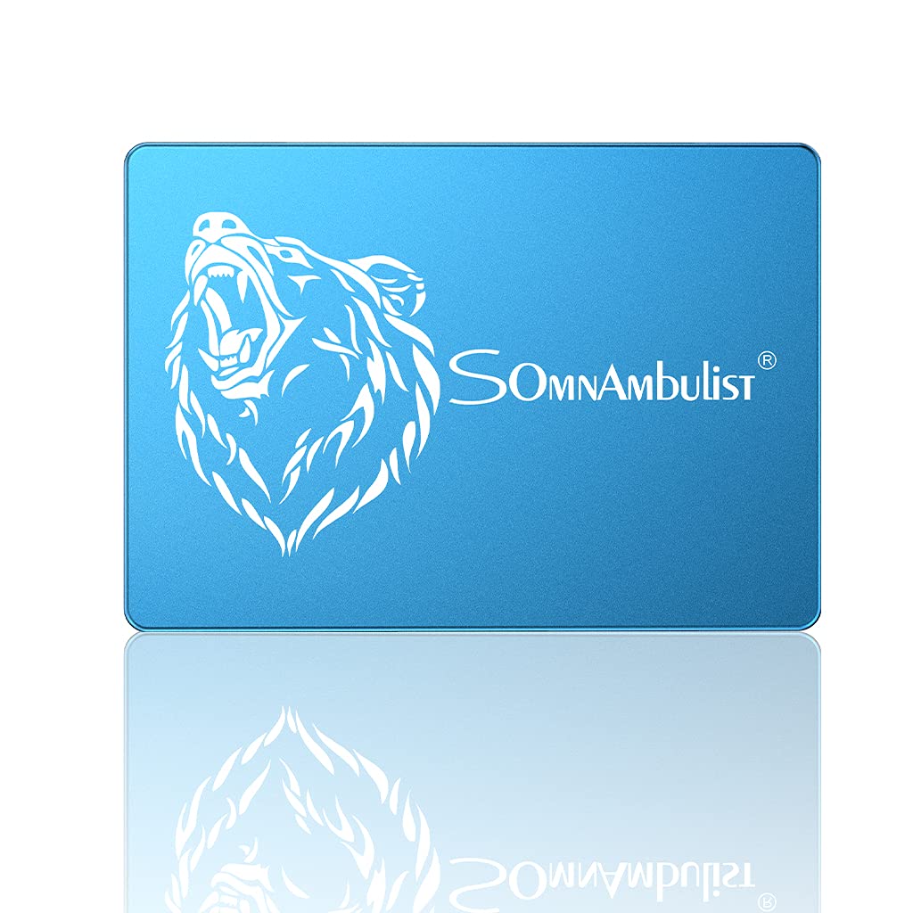 Somnambulist Laptop/Desktop SSD 2.5" SATA3 120gb 240gb 60gb SSD Solid State (Blue Bear-120GB)