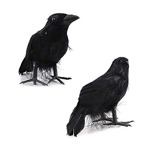 UCSAJI 6PCS Halloween Black Realistic Crow Halloween Props Black Feathered Crow Simulation Animal Model for Party Decoration