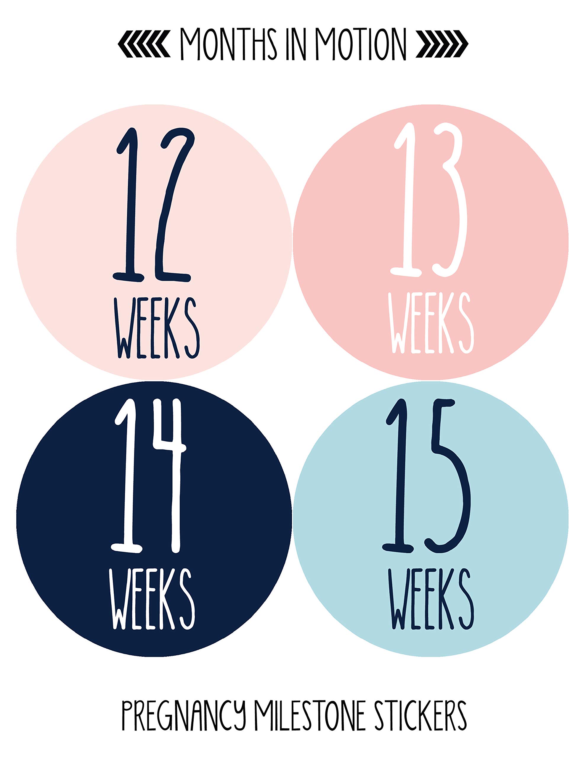 Months In Motion Weekly Pregnancy Growth Stickers | Week to Week Pregnant Expecting Photo Prop | Maternity Keepsake | Baby Bump | Weekly Stickers (Set of 36 Stickers)
