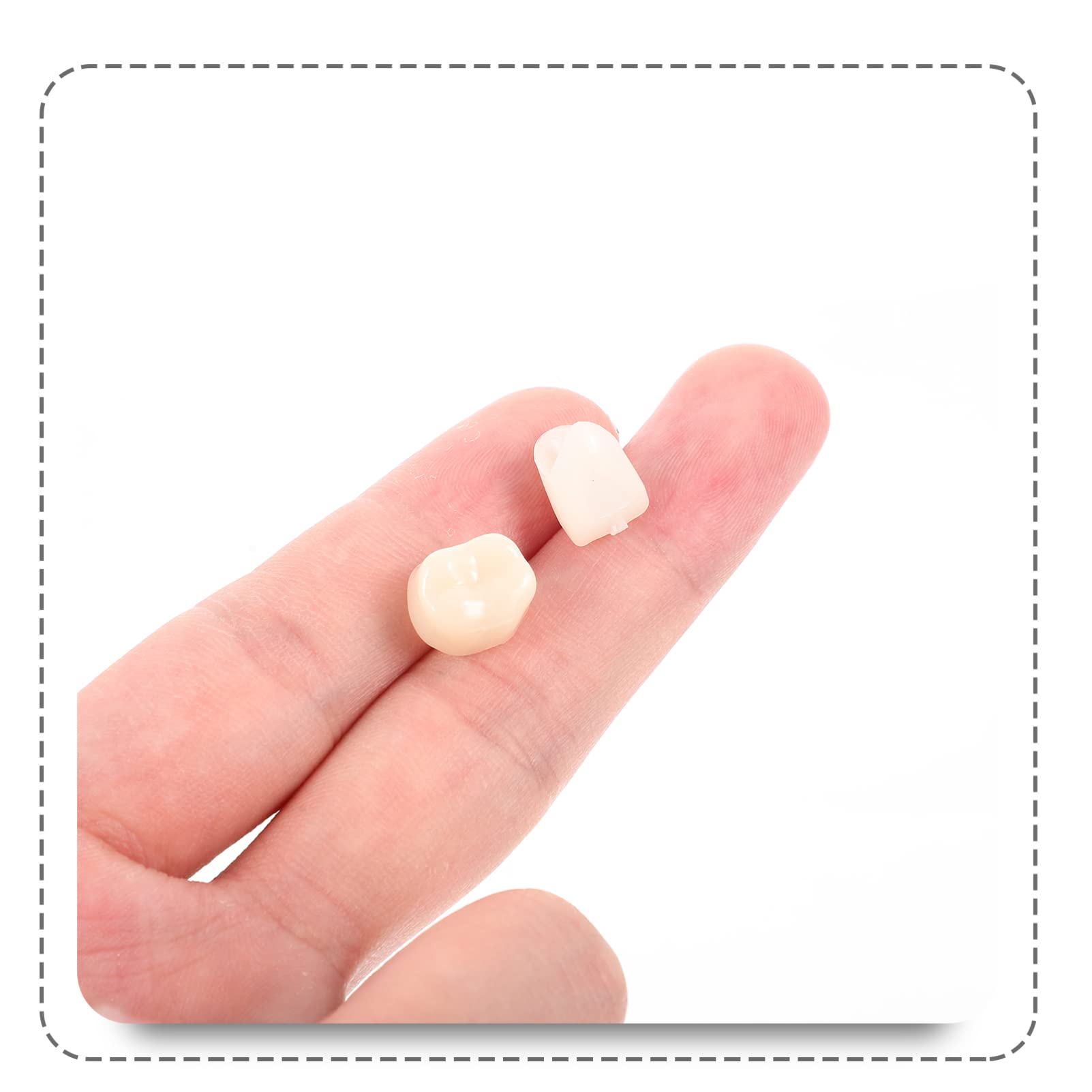2boxes Dental Slices Sticker Veneer Tooth Accessory Supplies Broken Replacements for Anterior The Kits and Fixing Materials Material Oral Temporary Reing Replacement Missing Kit