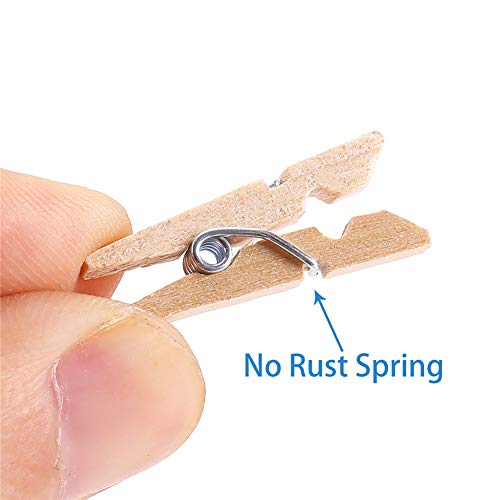 DIYASY 120 Pcs Mini Wood Clothespins,1 Inch Small Craft Wooden Clips with Jute Twine for Photo Wall and DIY Craft.