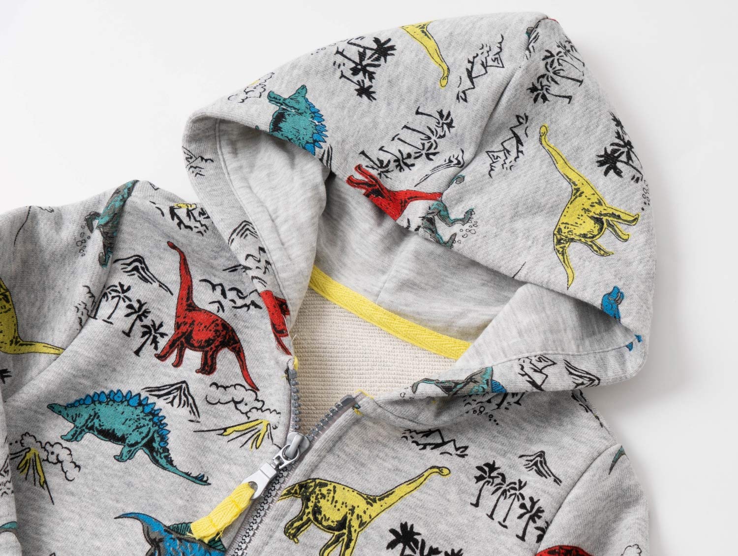 LeeXiang Toddler Boys Full Zip Dinosaur Hoodies Comfortable Sweatshirt (Dinosaur, 4-5T)