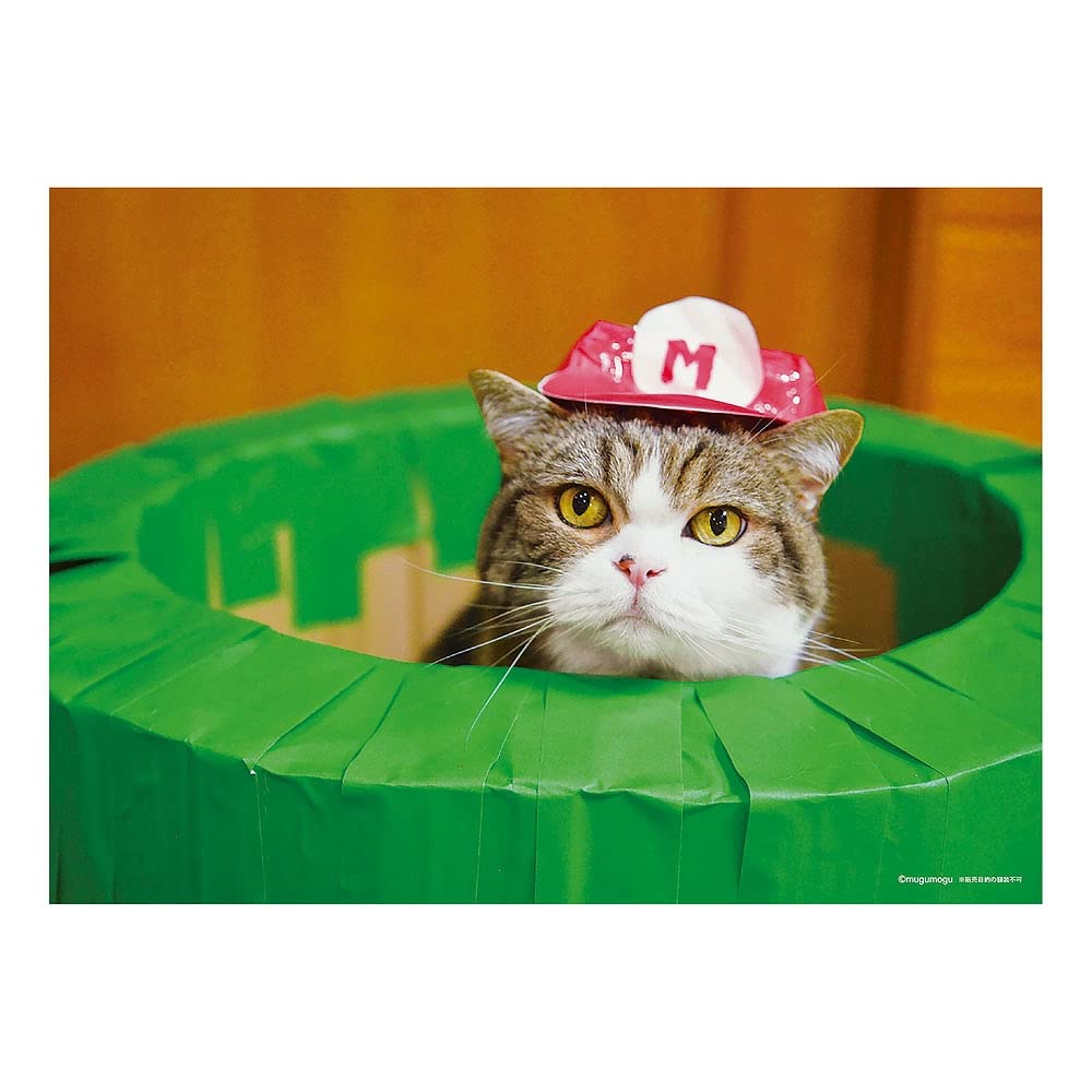 2023 Maru-chan Calendar (Tabletop) [Video Included] 1000123669, White