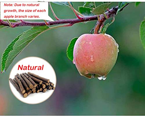 Z-TON Apple Sticks Pet Chew Toys for Chinchillas Guinea Pigs Rabbits Small Animals (100g)