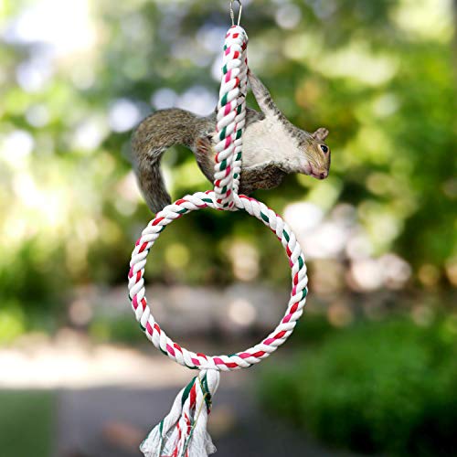 Double Hoop - Hanging Round Two-Level Rope Perch Swing Cage Accessory Toy - Sugar Gliders, Degus, Marmosets, Squirrels, Monkeys, Parrots, Birds, Rats & Other Small Pets
