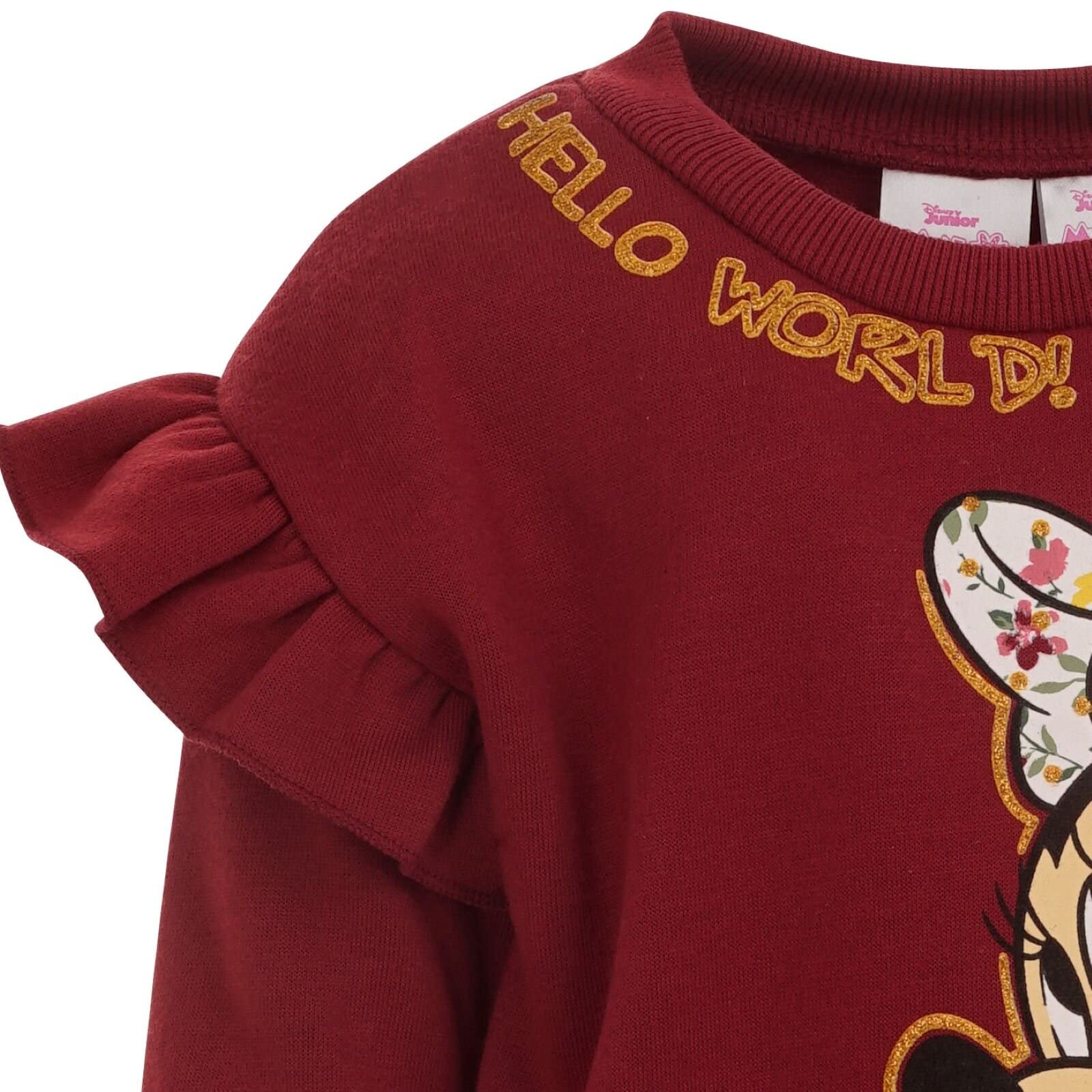 Disney Minnie Mouse Infant Baby Girls Pullover Fleece Sweatshirt and Leggings Outfit Set Multicolor 18 Months