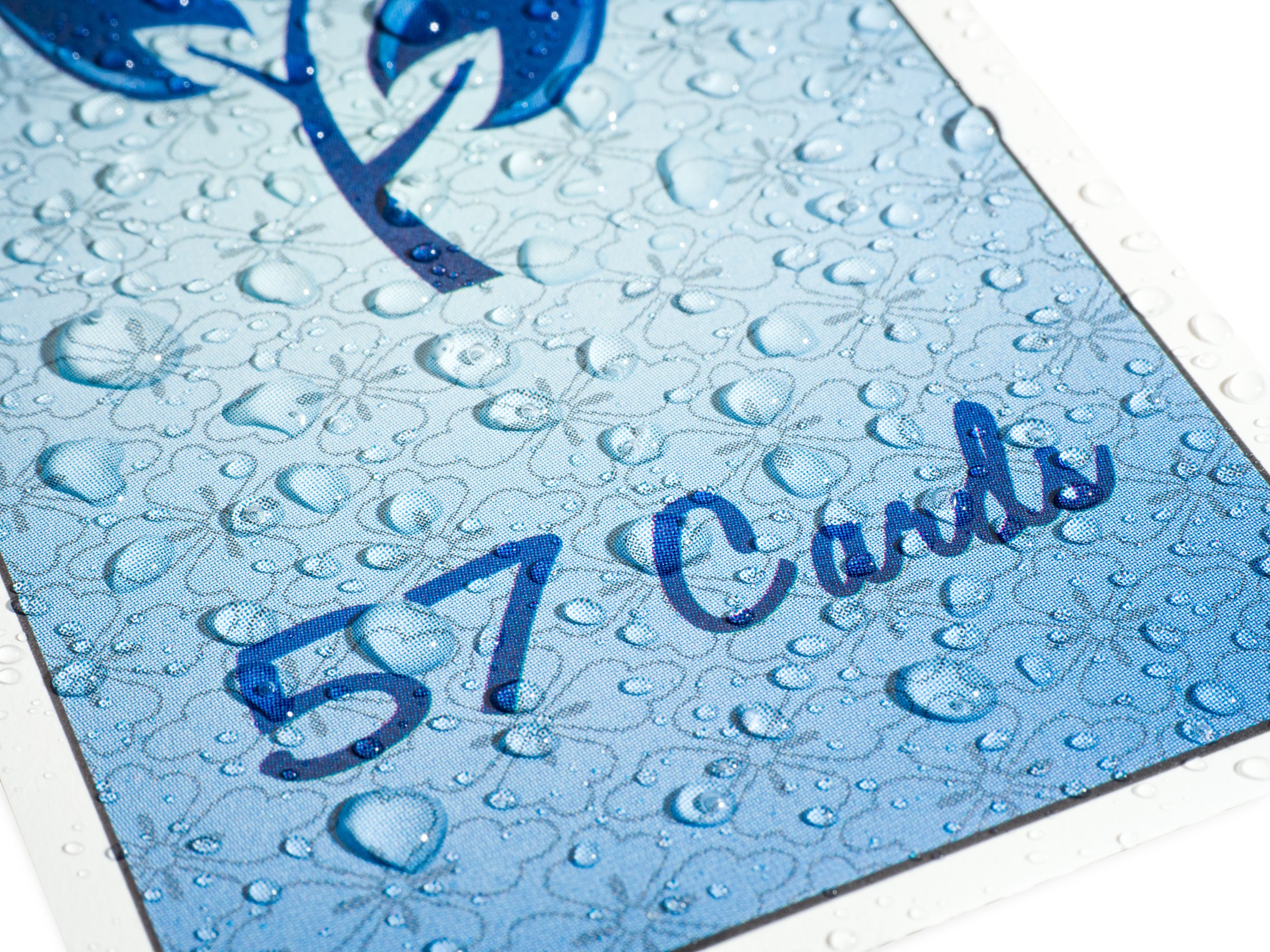 57 Cards Plastic Bird Cards 10th Anniversary Deck. Durable, Waterproof, & No Fraying.