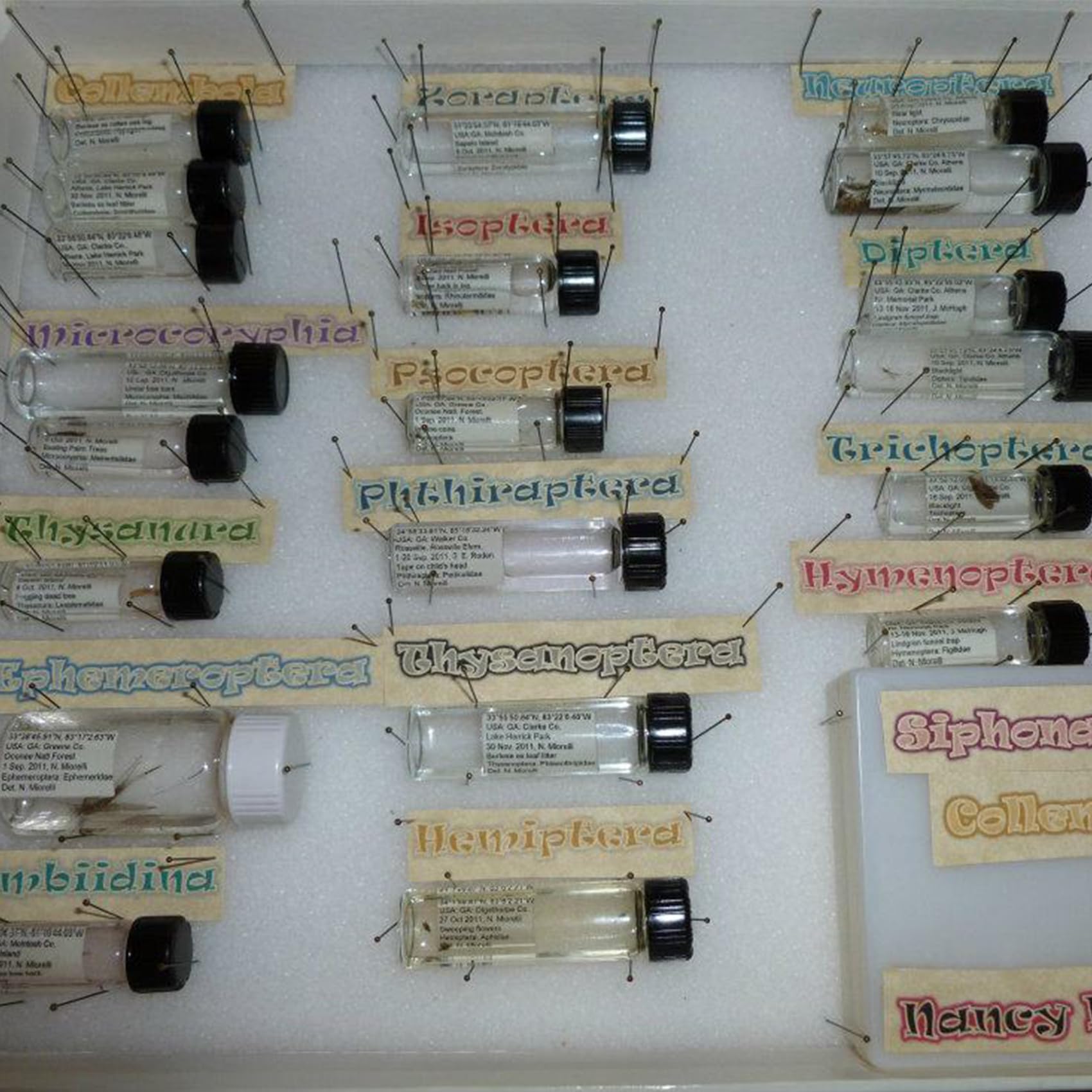 PEKYBIO Clear Glass Sample Vial, Liquid Sampling Sample Glass Bottle, 10ml(0.3OZ) Capacity, Sample Vial 22mm.I.D.* 52mm, 18-400 Thread Black Closed Top Screw Cap,PE Liner, Pack of 100