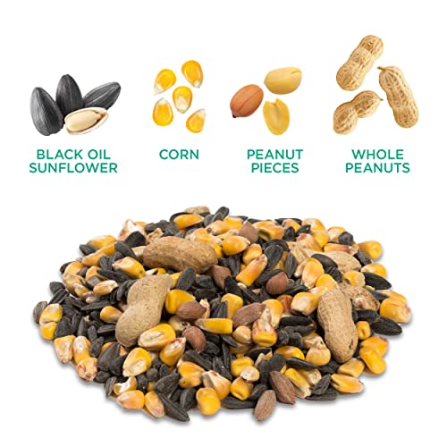 Audubon Park Critter Crunch Backyard Wildlife Food, Bird and Squirrel Food for Outside Feeder, 5-Pound Bag