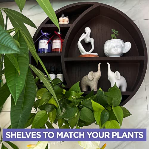 DalNim Extra-Large 18-inch β Premium Moon Shelf β Brown Shelves for Wall Decor β Wooden Display Shelves with 2 Secure Hooks β Healing Crystal and Stone Shelf for Living Room, Meditation Room, Nursery