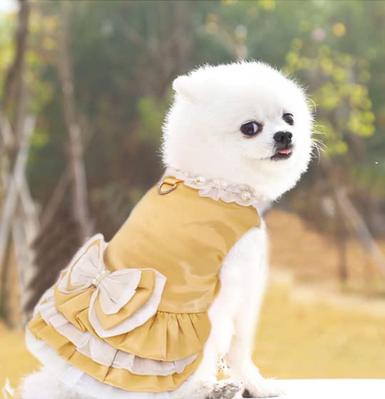 Albrost Dog Dress Harness Vest with Matching Leash, Golden Bow-Knot Puppy Dresses D Ring, Cute Leash Set, Princess Multi-Layer Pleated Skirt Pet for Small Cat (Medium), Golden,Gold,White