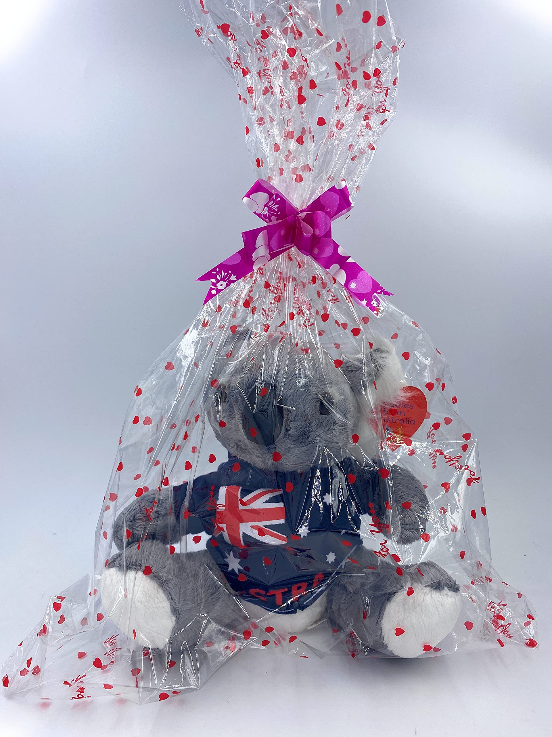 Aeisage Koala Stuffed Animal - 8 Inch Plush Koala Bear with T-Shirt, Super Soft Australian Souvenir Gift