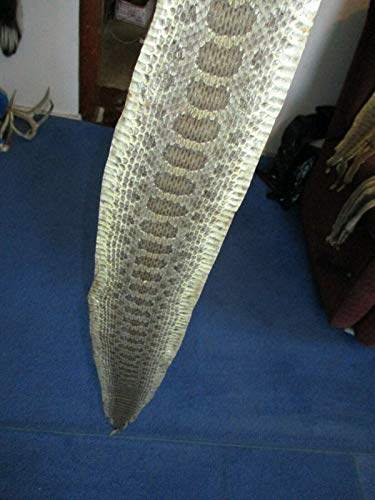 Rattlesnake Skin Prairie Rattler Hide Dry Tanned Bow Wrap Pen Blanks 44"