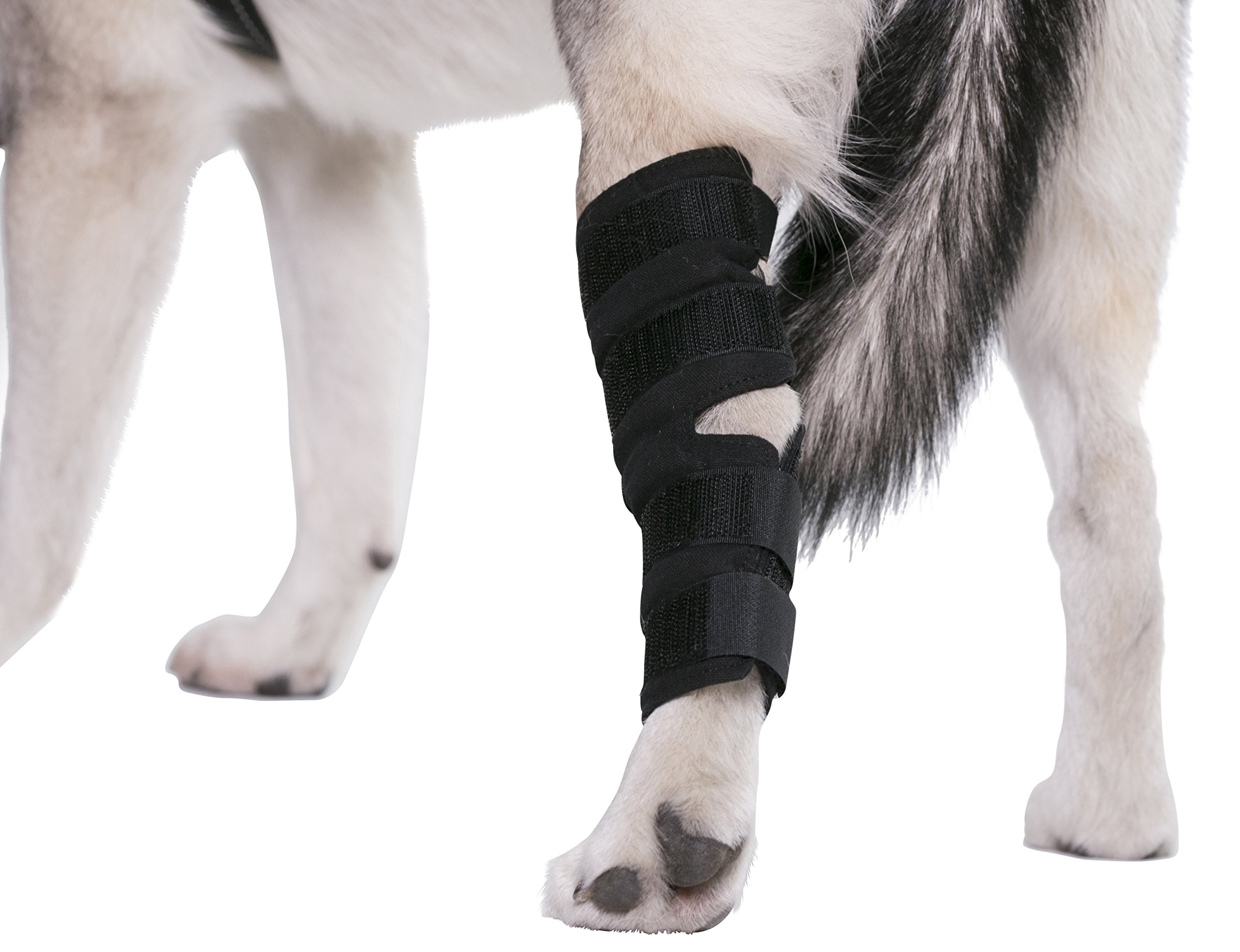 AGON® Dog Leg Braces for Back Leg wrap hock Compression Protects Wounds and Helps heal hind Legs Rear Ankle Joint, preventing Injuries, sprains Providing Stability for Dogs, Canines Arthritis (Small)