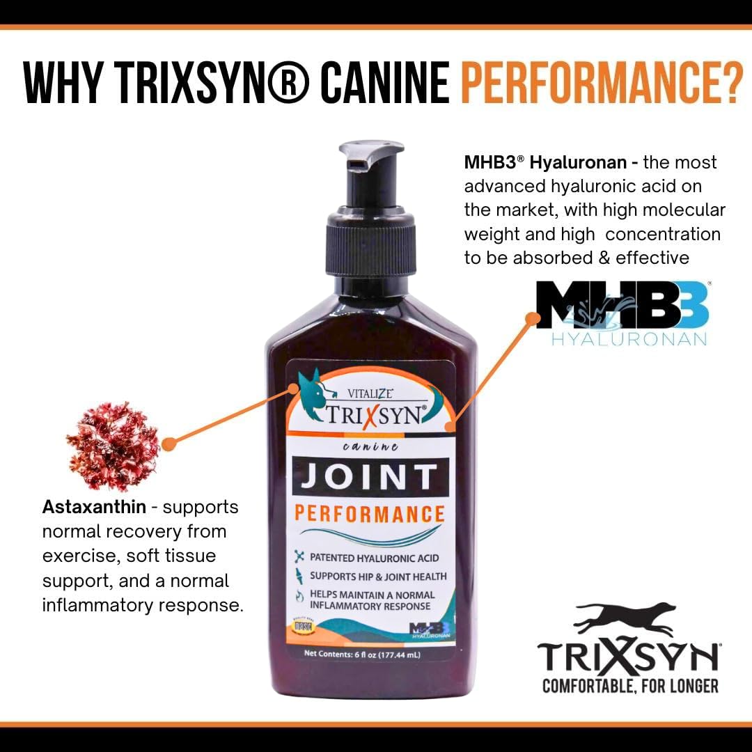 TRIXSYN Canine Performance - Dog Hip & Joint Supplement - Enhance Joint Pain Relief for Small, Large & Senior Dogs - Patented MHB3 Hylauronan Liquid Formula - 72 Day Supply