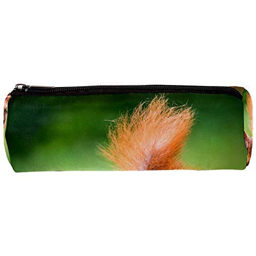 Squirrel Eat Nut in Wild Nature Pattern Pencil Bag Pen Case Stationary Case Pencil Pouch Desk Organizer Makeup Cosmetic Bag for School Office