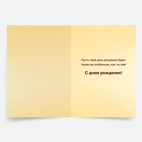 Designer Greetings Russian Language Happy Birthday Cards, Glitter-Accented Cake and Candles Design (Pack of 6 Cards with Purple Envelopes/Пакет из 6 карт с)