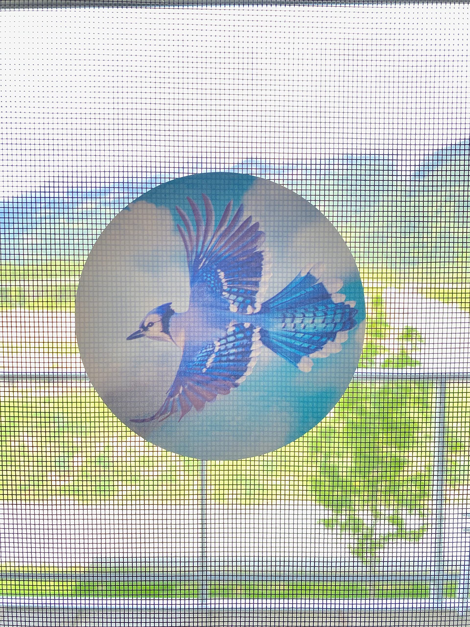 Retractable Screen Door Decals (Stickers) - 6 per Package - Keep Children Safe - Alert Birds, Dogs, Kids - Warn, Protect, Window Safety - Birds
