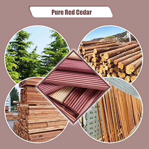 Aeroatiw Large-Sized Cedar Block for Clothing Storage, Natural red Cedar Hanging for Clothing Protection and 12 Cedar Hanging