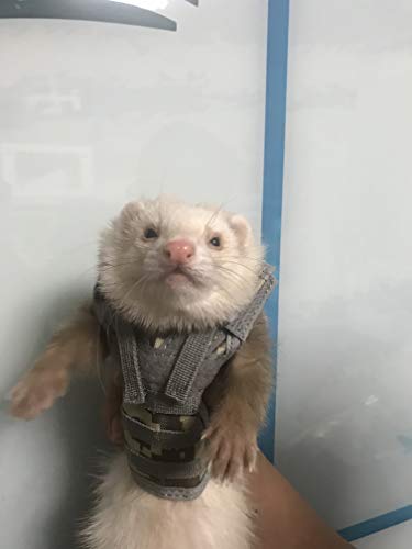 Ferret Clothes Small Animals Harness Military Style Adjustable Shoulder Straps Soft Mesh Comfort Durable Nylon Padded Vest Ferret Guinea Pig Hamster Bunny Kitten Puppy Small Pet Clothes Accessory