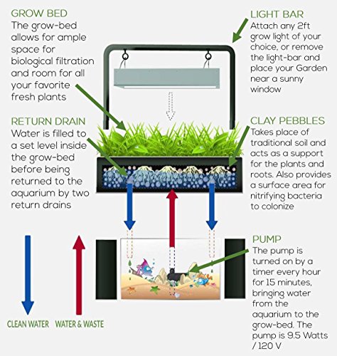 AquaSprouts Garden, Self-Sustaining Desktop Aquarium Aquaponics Ecosystem Kit, fits Standard 10 Gallon Aquariums