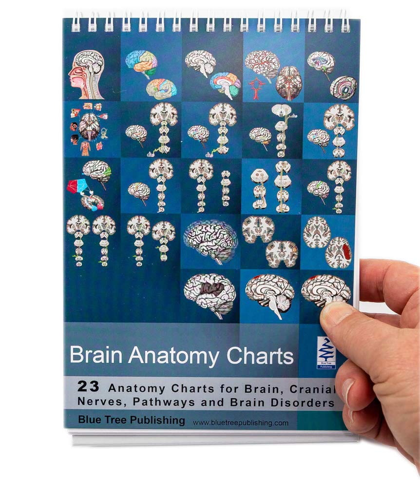Brain Flip Charts